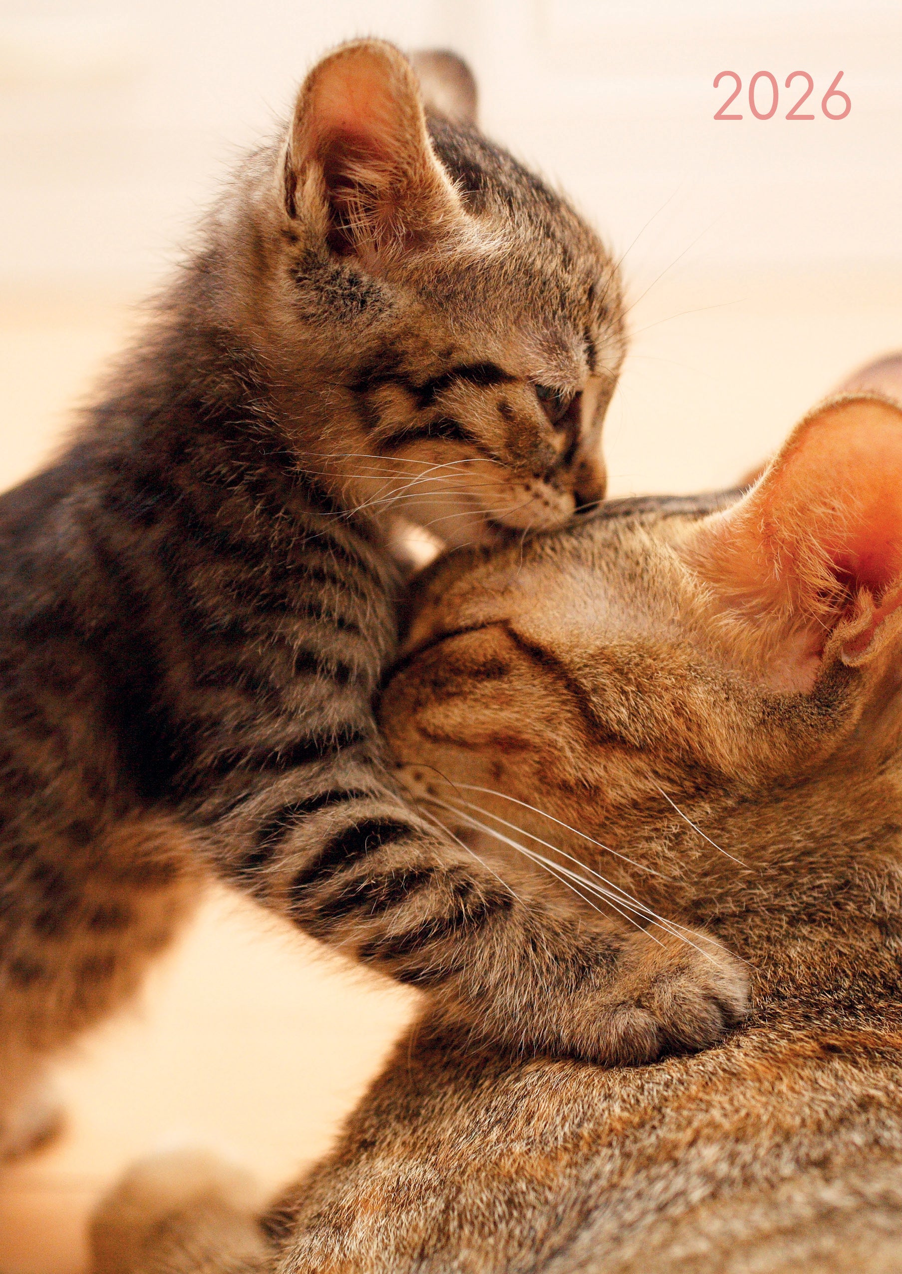 Animal Charity Diaries and Calendars – National Animal Welfare Trust