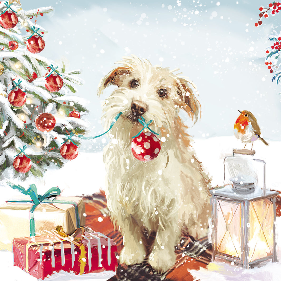 Animal Charity Christmas Cards – National Animal Welfare Trust