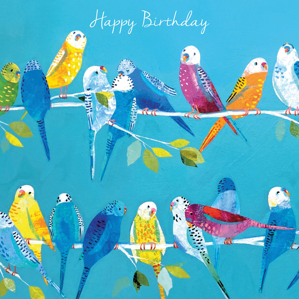 Budge Up Greeting Card - Eco Friendly Co. – National Animal Welfare Trust