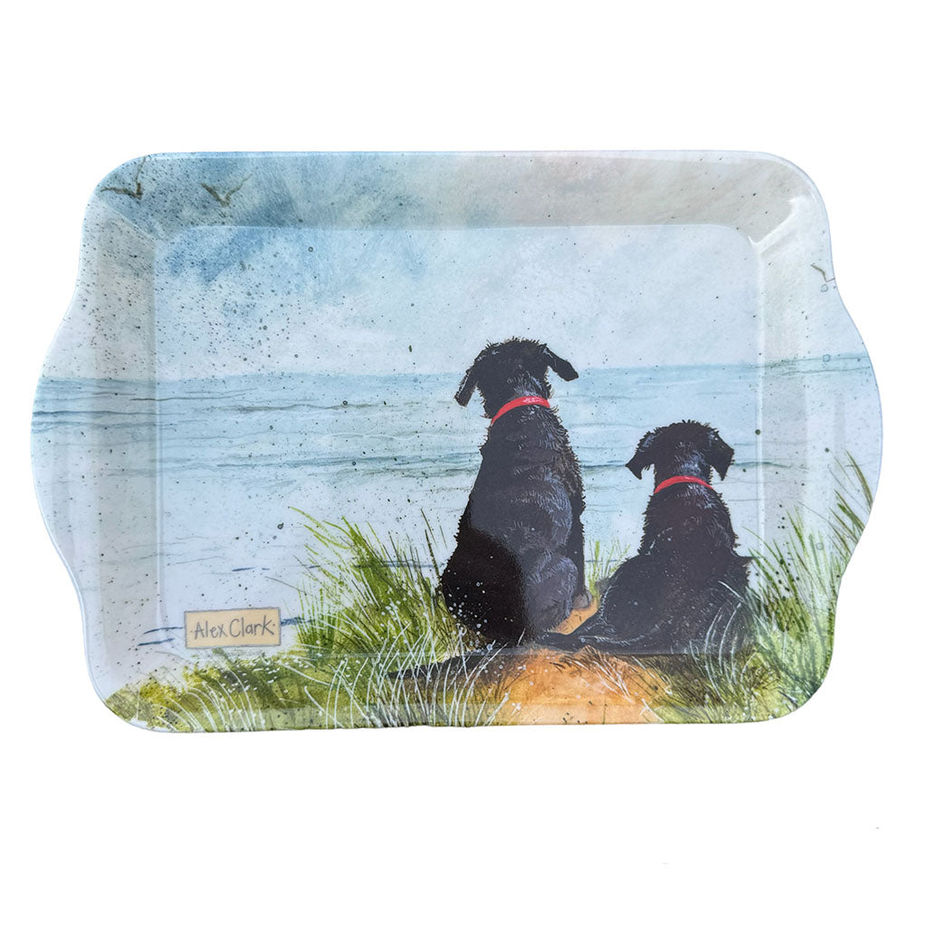 Dunes Small Tray - by Alex Clark – National Animal Welfare Trust