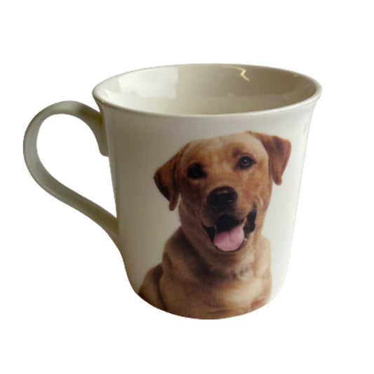 Animal Charity Pet Lovers Gifts – Page 3 – National Animal Welfare Trust